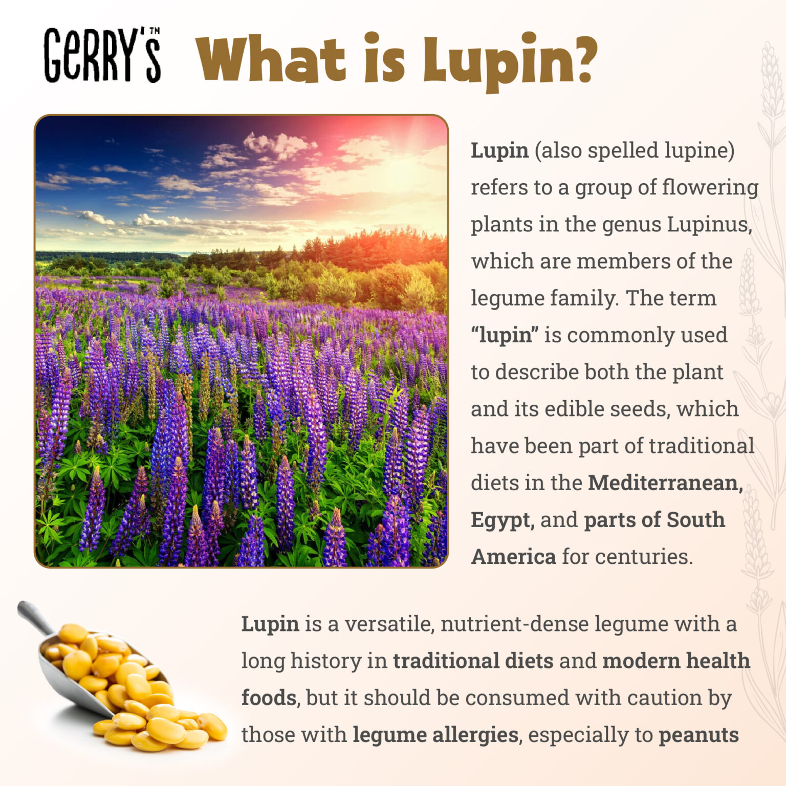 Gerry's Super Bread - Gerry's